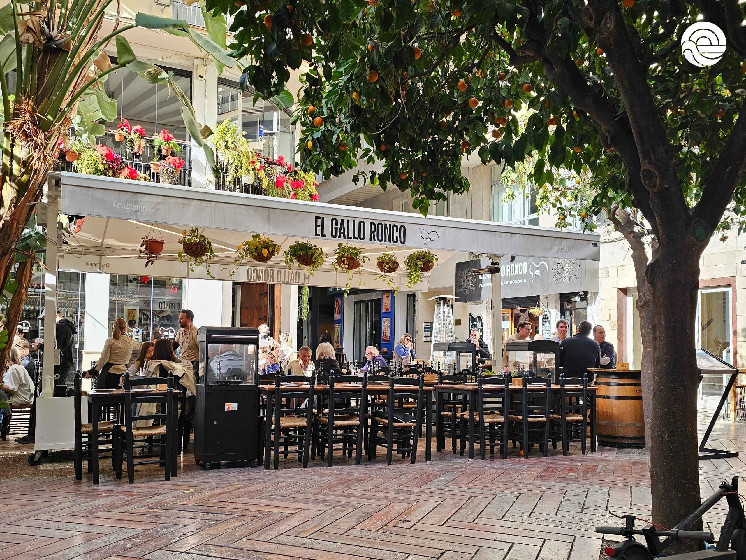Málaga foodie guide: 17 spots to eat and drink | Trip Unlocked